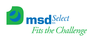 msd mini Scleral Lens